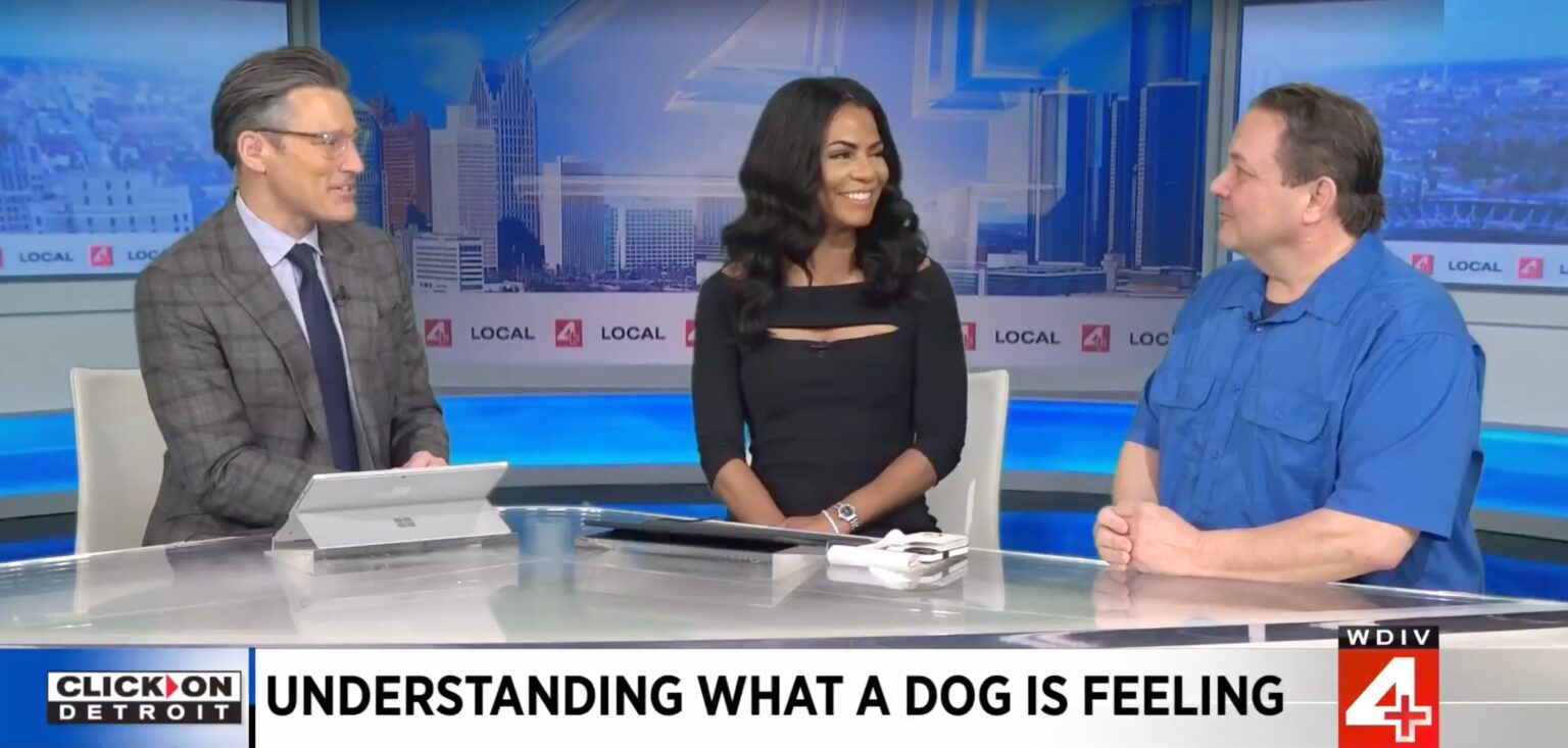 Unlocking Canine Communication: A Fascinating Dive into Dog Body ...